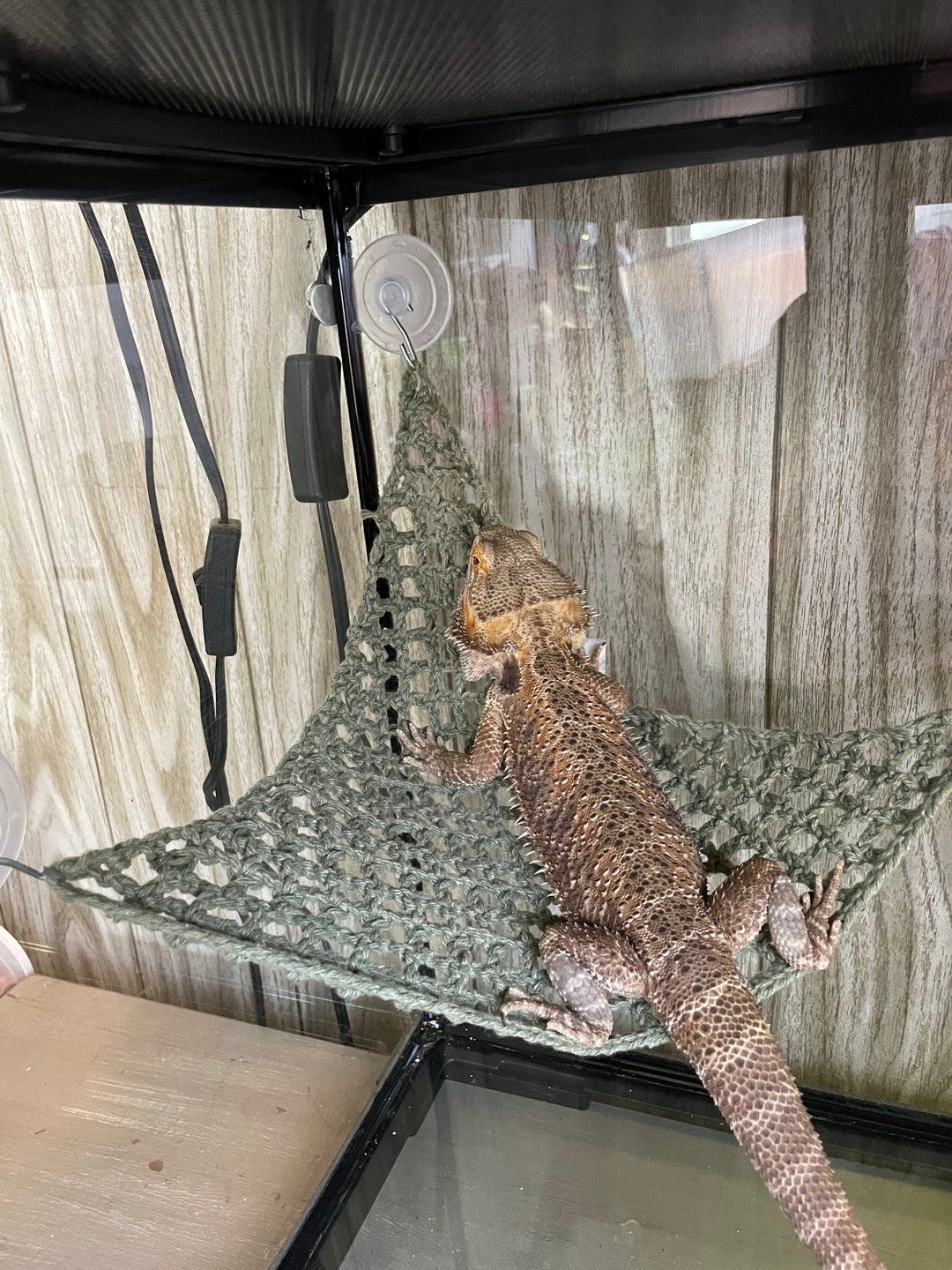 Corner Hammock With Suction Cups - Etsy