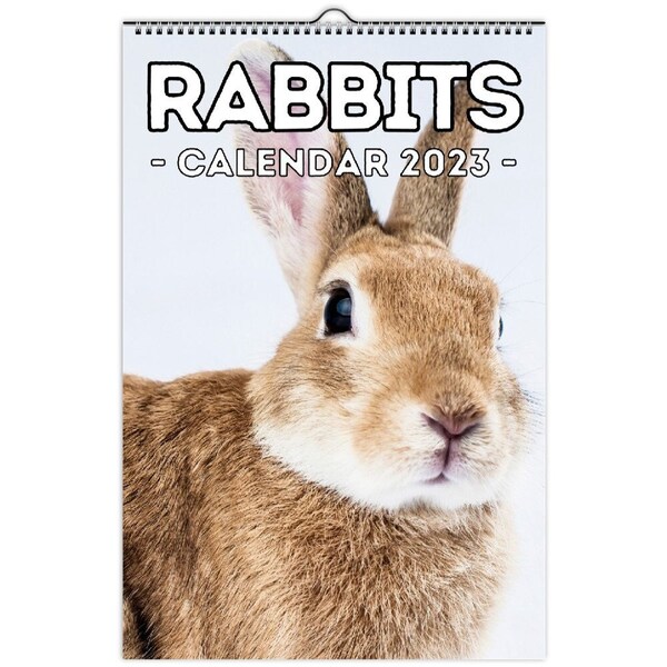 2023 Bunny Calendar - Etsy