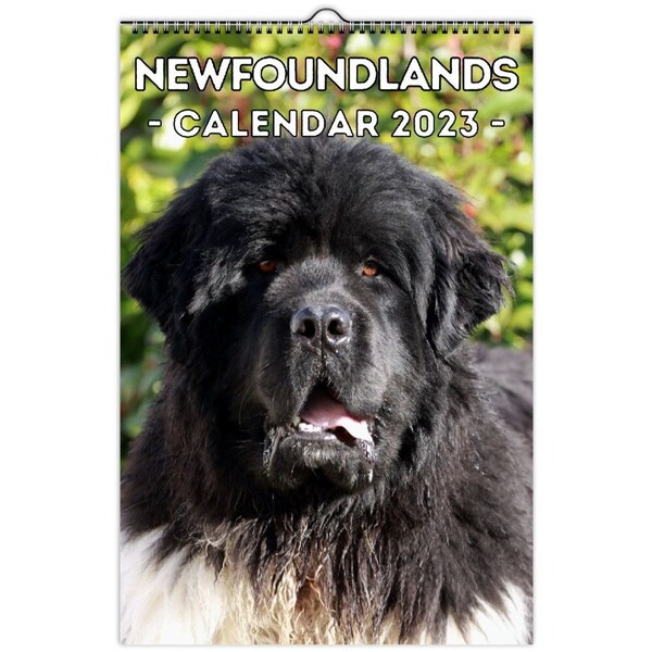 2024 Dog Calendar - Etsy