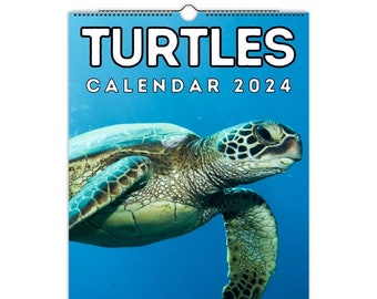 Turtle Calendar 2024 Monthly Wall Calendar, A4 Hanging Calendar Perfect ...