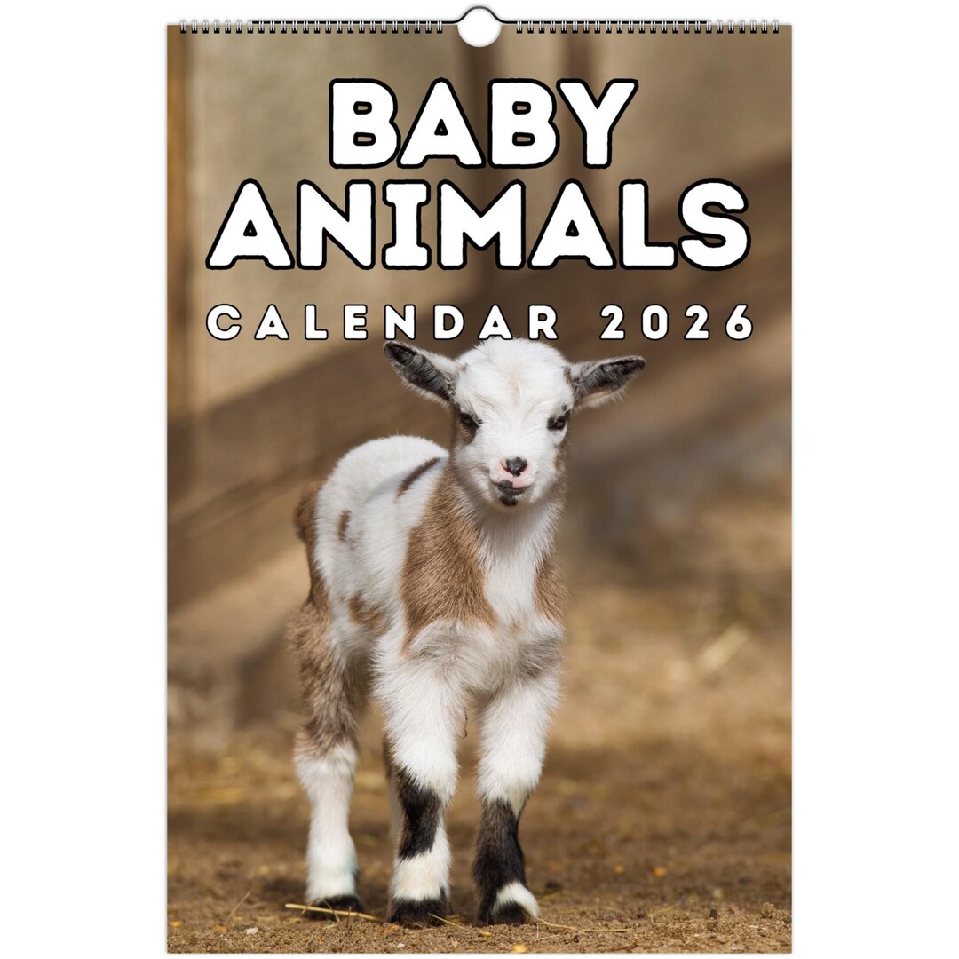 Baby Animals Wall Calendar 2026, Gift for Baby Animal Lover - Etsy