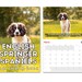 English Springer Spaniels Wall Calendar 2024, Cute Gift Idea for ...