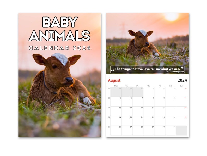 Baby Animals Wall Calendar 2024, Cute Gift Idea for Baby Animal Lovers ...