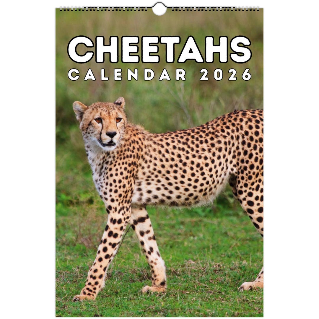 Cheetah Wall Calendar 2026, Wild Cat Lovers Gift - Etsy