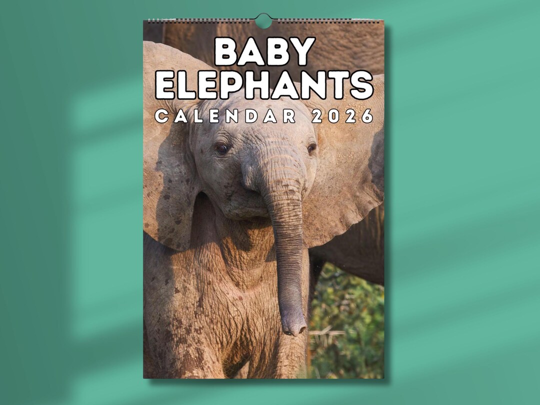 Baby Elephants Wall Calendar 2026, Gift for Elephant Lovers - Etsy