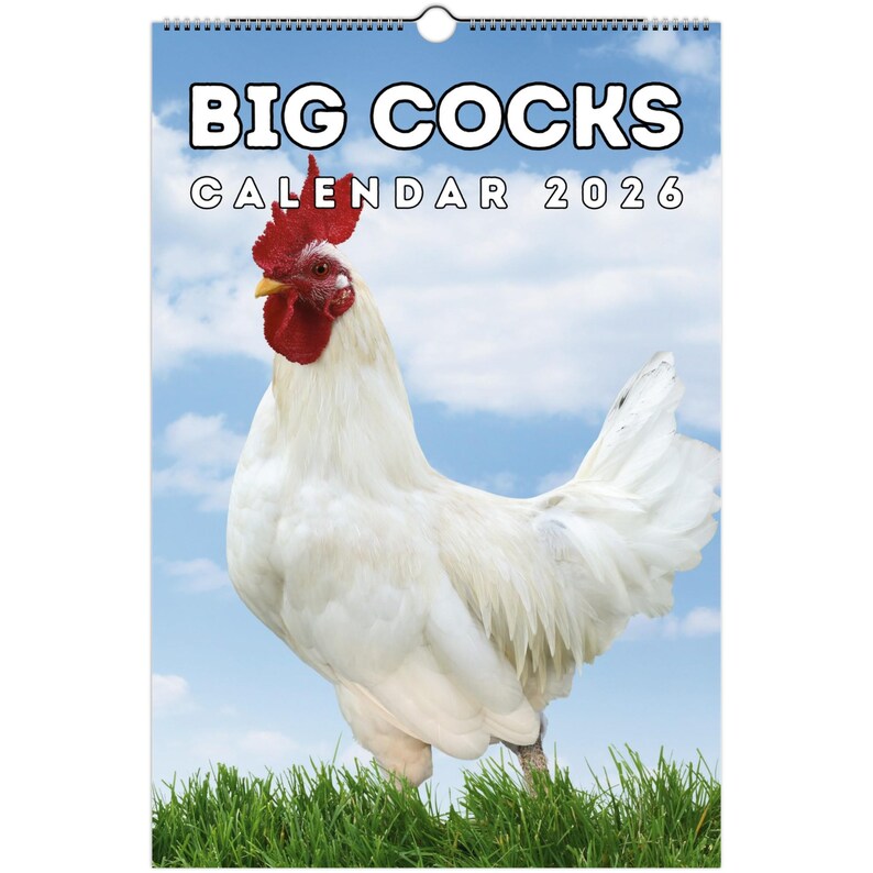 Roosters 2026 Wall Calendar, Funny Gag Gift - Etsy