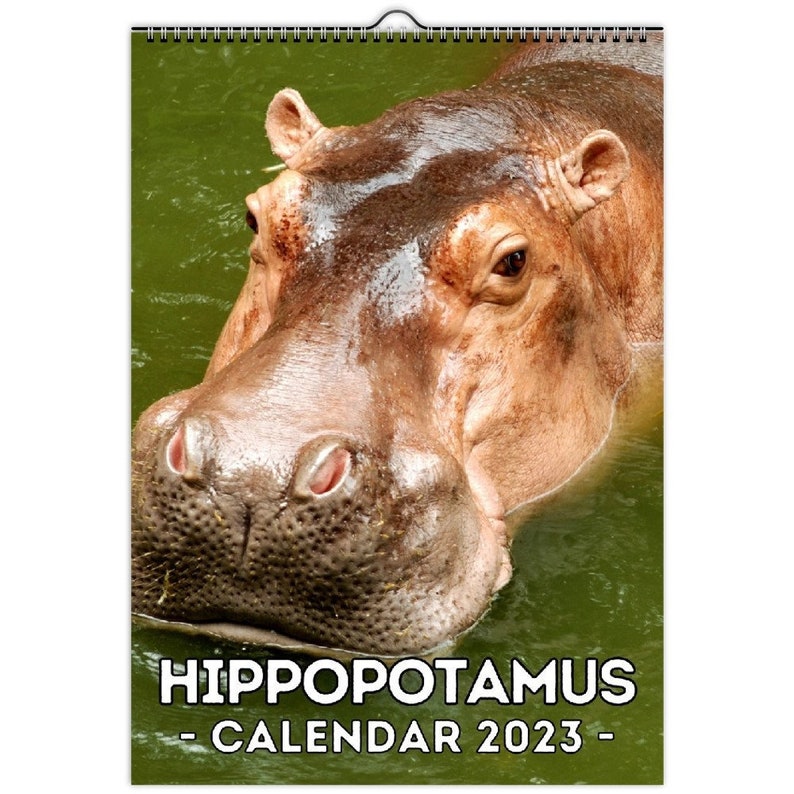 Hippopotamus Wall Calendar 2023 Cute Gift Idea for Hippo - Etsy