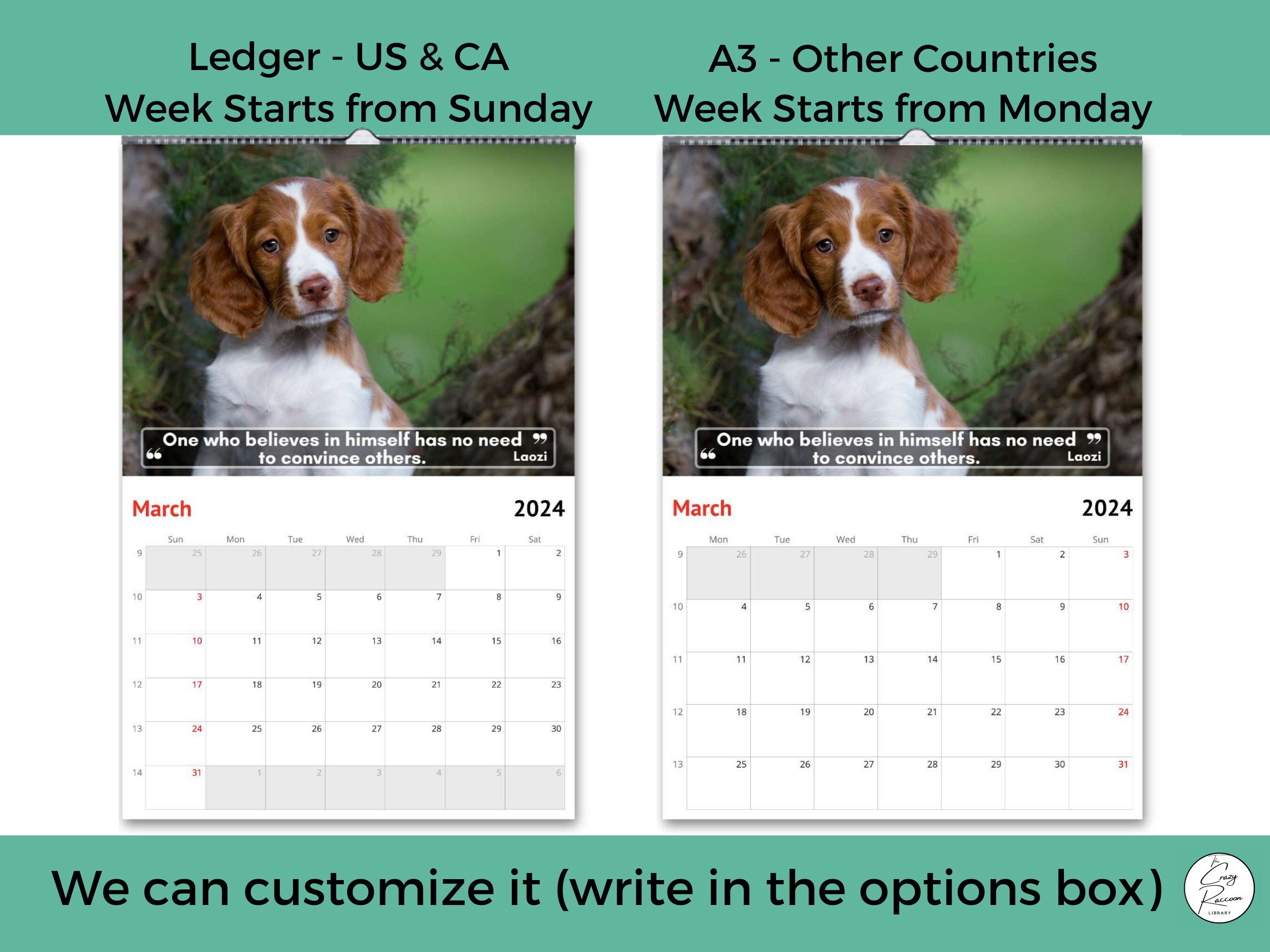 Brittany Puppies Wall Calendar 2024, Cute Gift Idea for Brittany ...