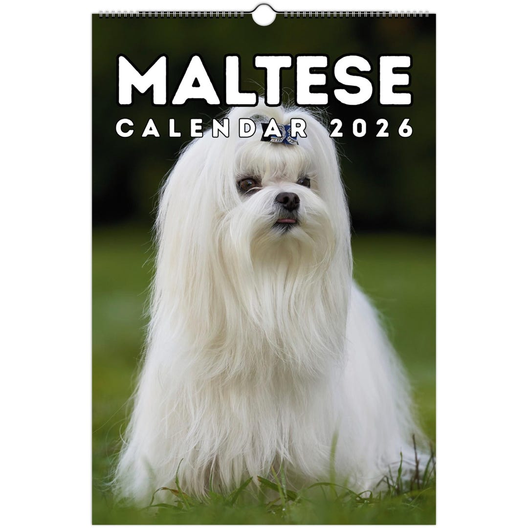 Maltese Wall Calendar 2026, Maltese Dog Lovers & Owners Gift - Etsy New ...