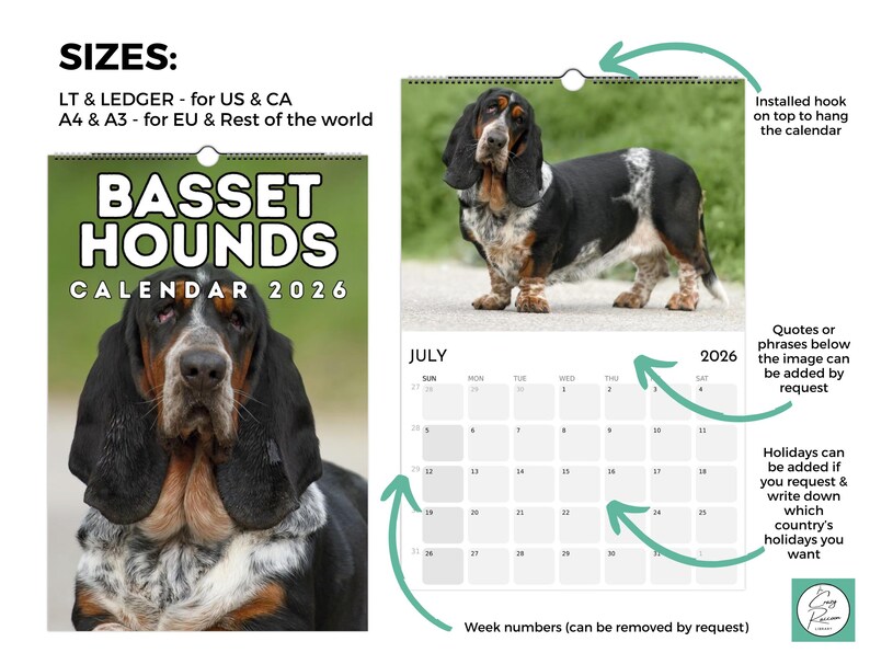Basset Hounds Wall Calendar 2026, Basset Hound Lovers Gift - Etsy