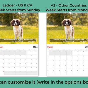 English Springer Spaniels Wall Calendar 2024, Cute Gift Idea for ...