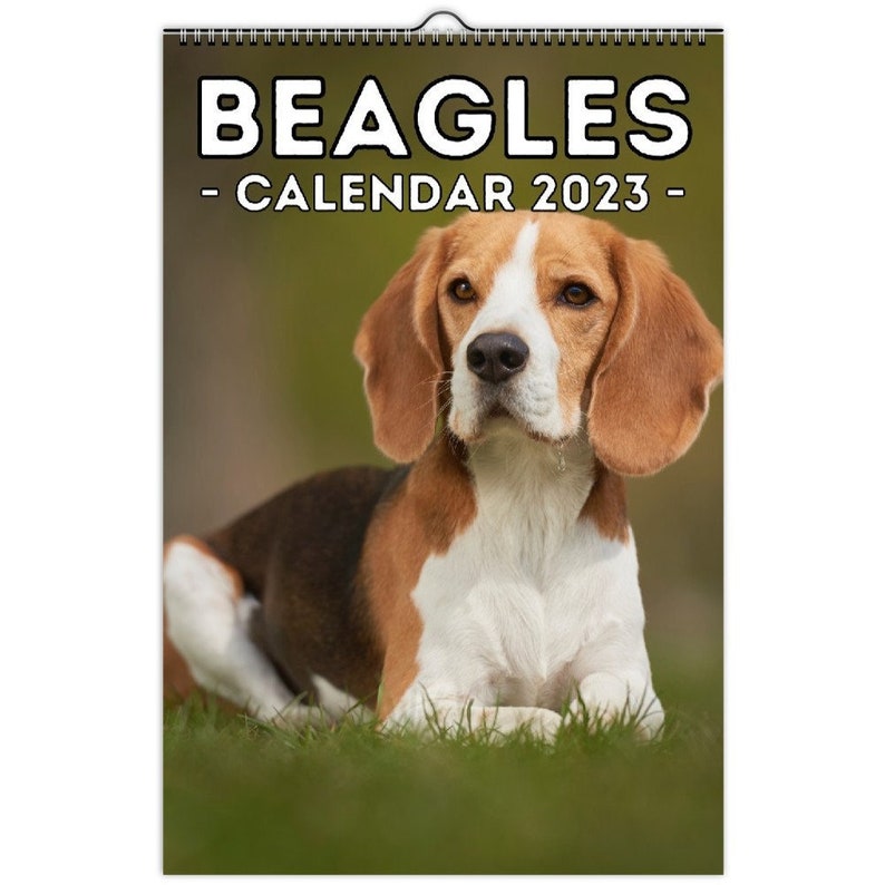 Beagles Calendar 2023 Cute Gift Idea for Beagle Lovers & - Etsy