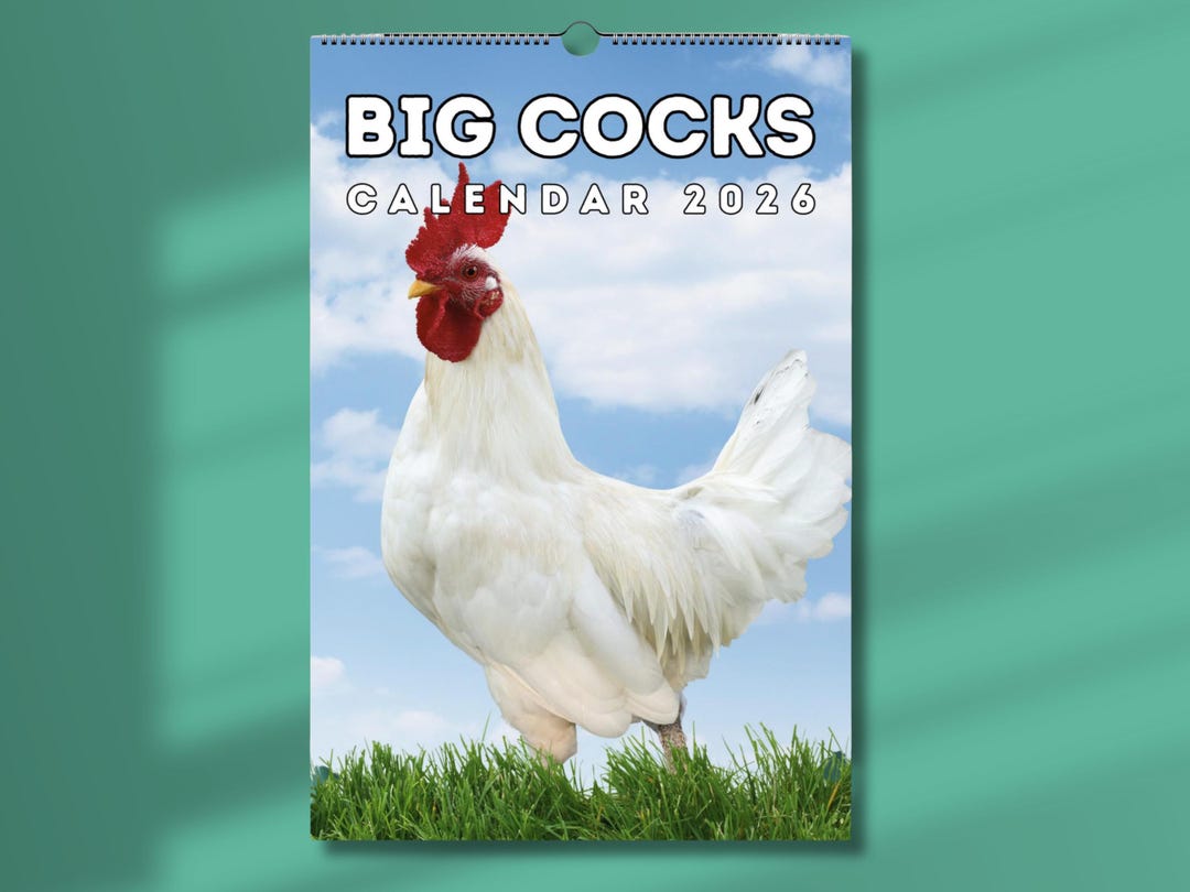 Roosters 2026 Wall Calendar, Funny Gag Gift - Etsy