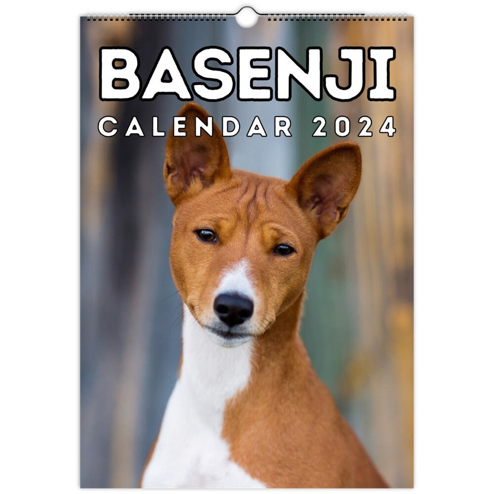 Basenji Wall Calendar 2024, Cute Gift Idea for Basenji Dog Lovers - Etsy
