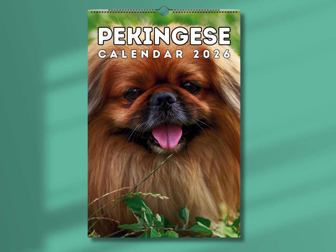 Pekingese Wall Calendar 2026, Pekingese Dog Lovers Gift - Etsy