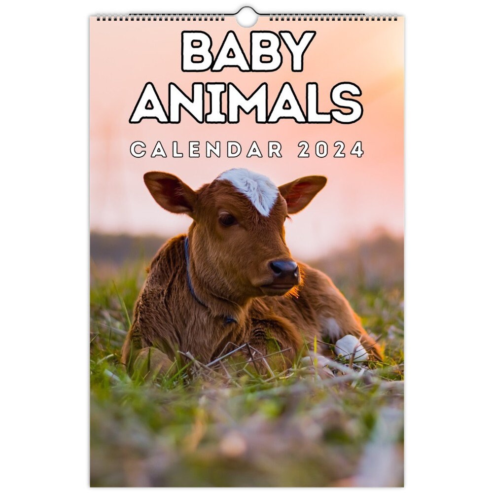 Baby Animals Wall Calendar 2024, Cute Gift Idea for Baby Animal Lovers ...