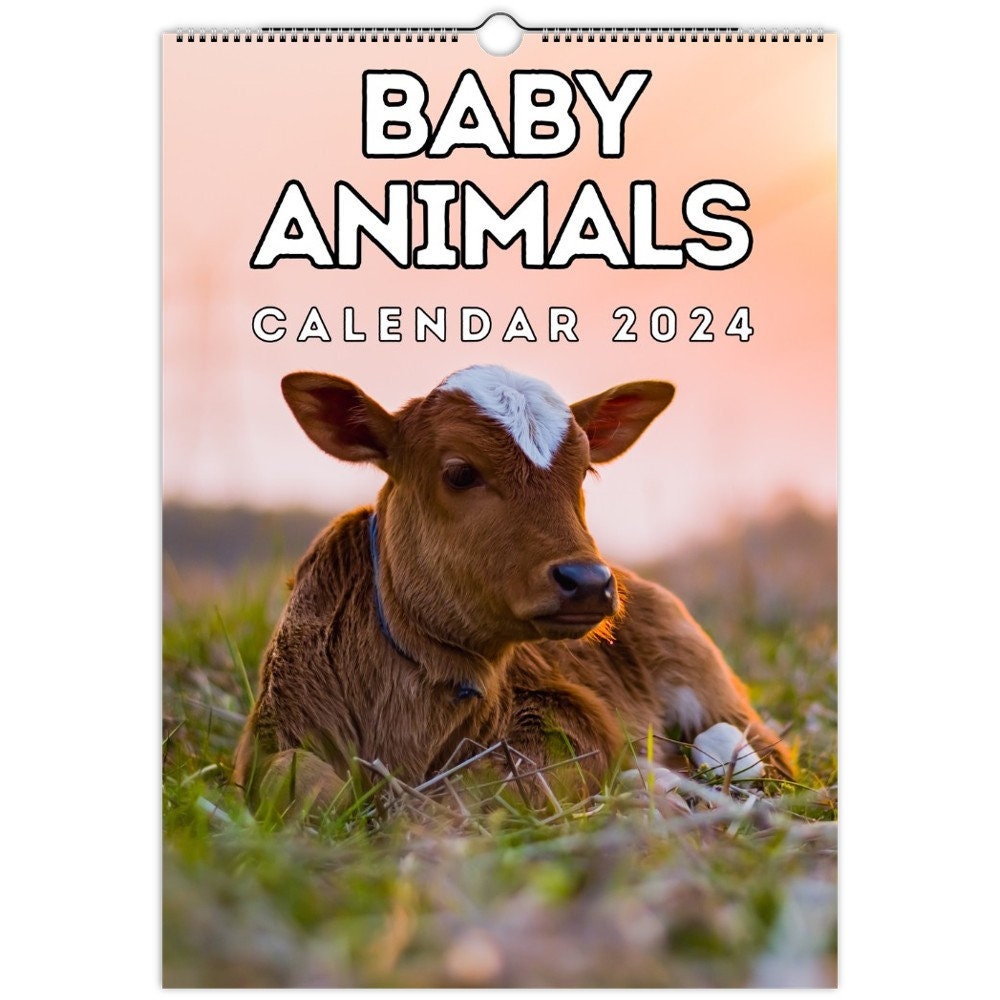 Baby Animals Wall Calendar 2024, Cute Gift Idea for Baby Animal Lovers ...