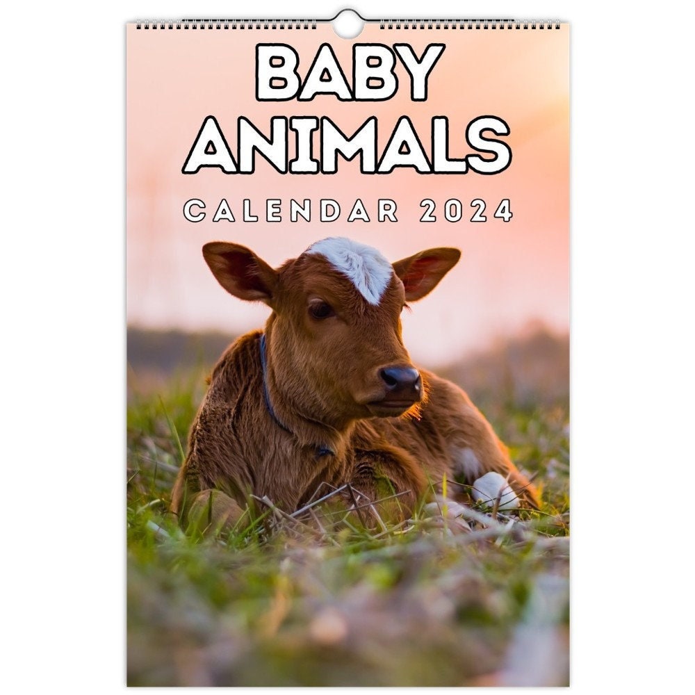 Baby Animals Wall Calendar 2024, Cute Gift Idea for Baby Animal Lovers ...