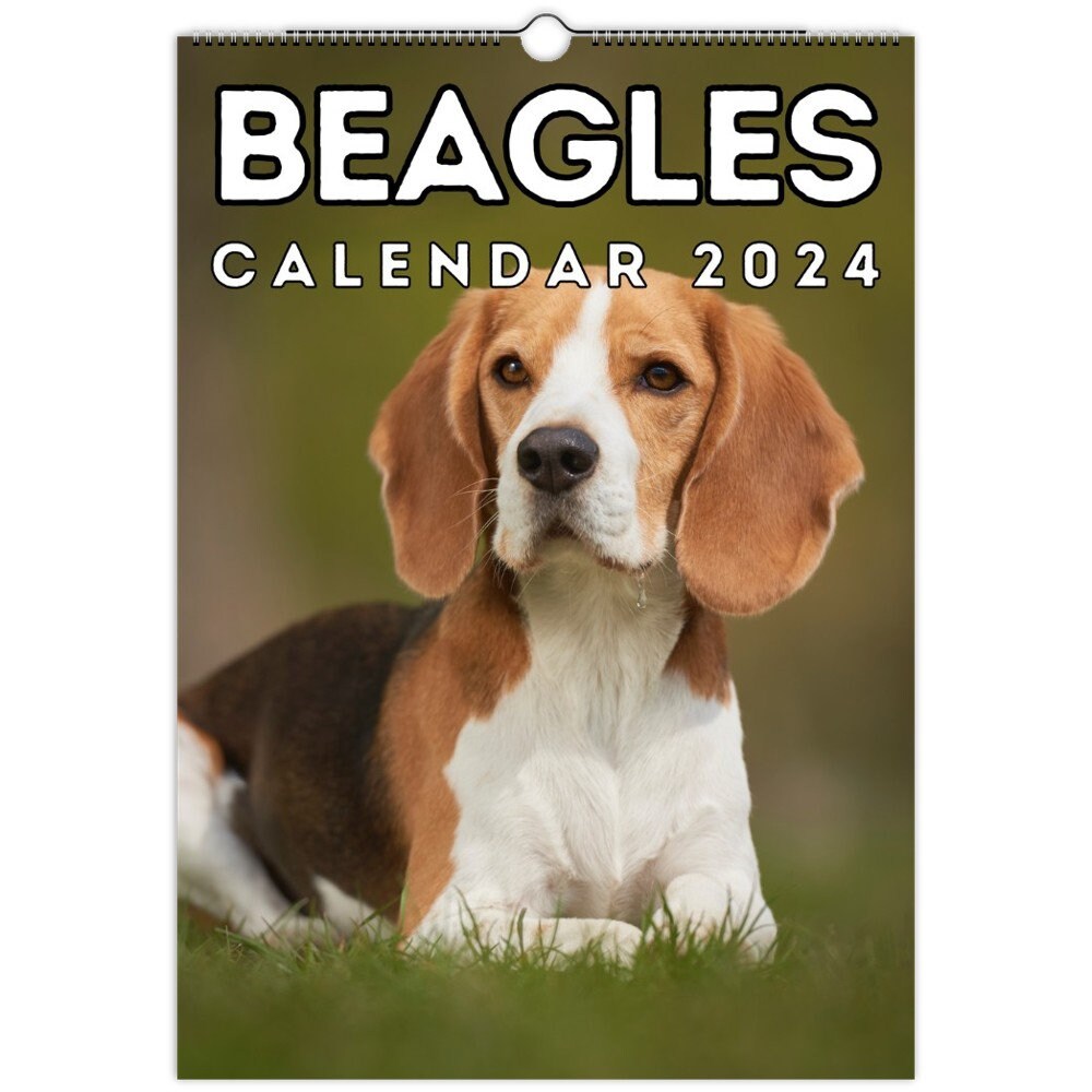 Beagles Calendar 2024, Cute Gift Idea for Beagle Lovers & Owners - Etsy