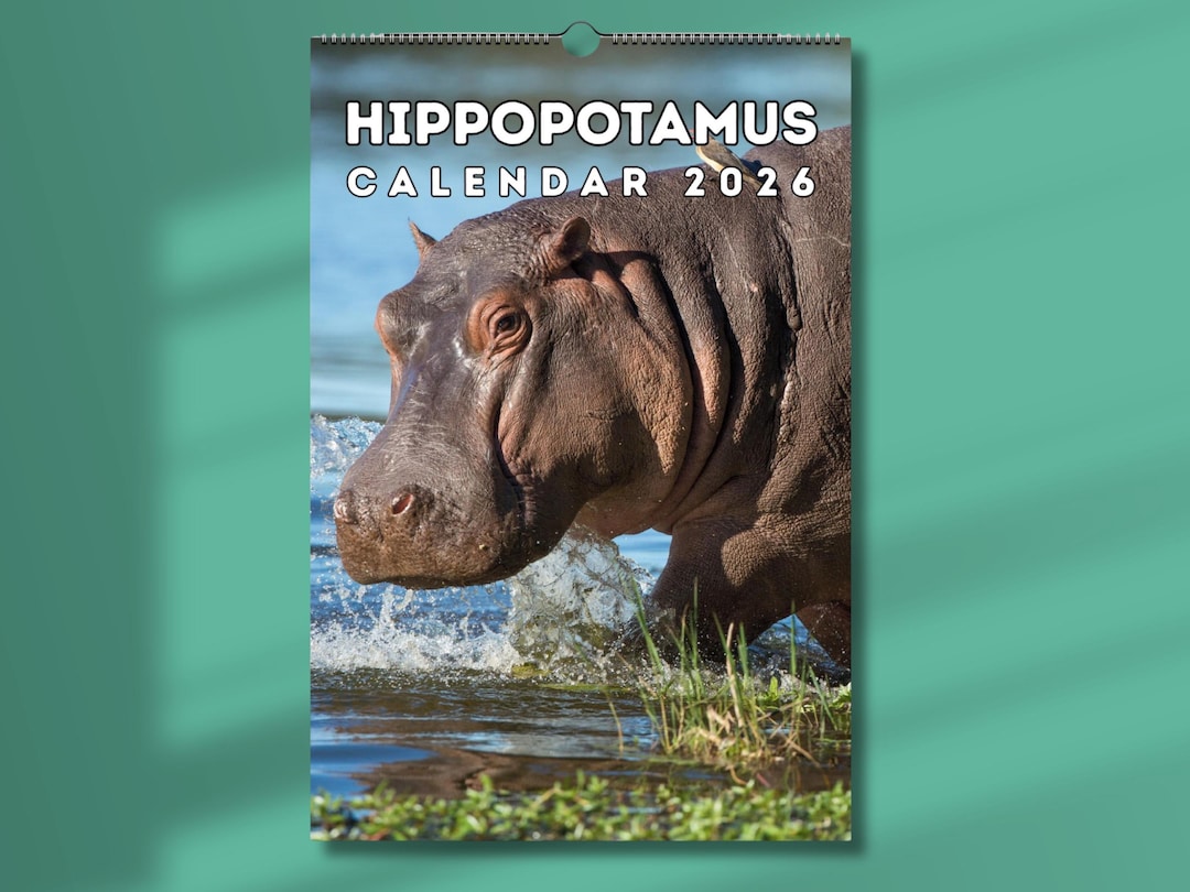 Hippopotamus 2026 Wall Calendar, Hippo Lovers Gift - Etsy