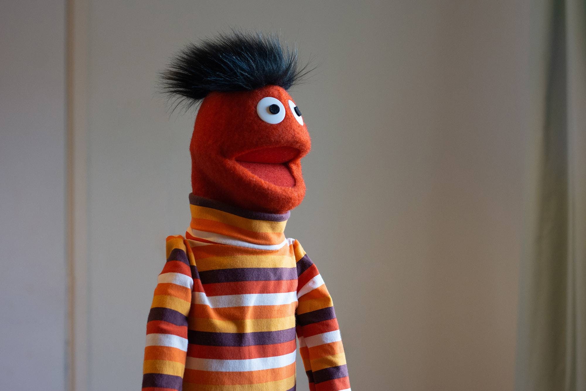 Professional TV Hand Puppet Muppet 1970 Antron Fleece - Etsy