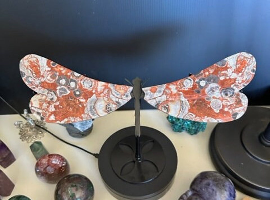 Money Agate Dragonfly Wing's, Dragonfly - Etsy