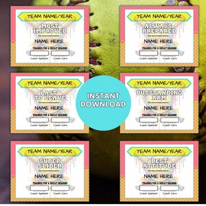 Editable Softball Drip Award Certificates, Softball Awards, Softball ...