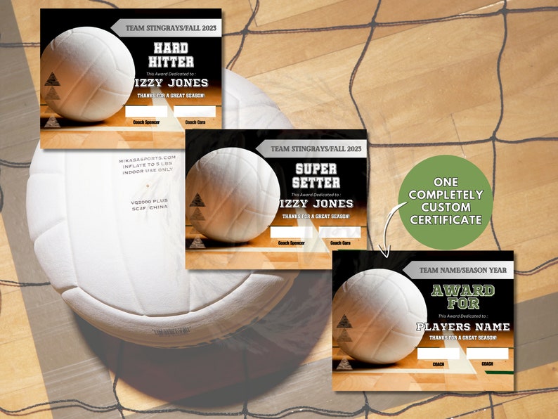 Editable Volleyball Award Certificates, Award Ceremony Certificates ...