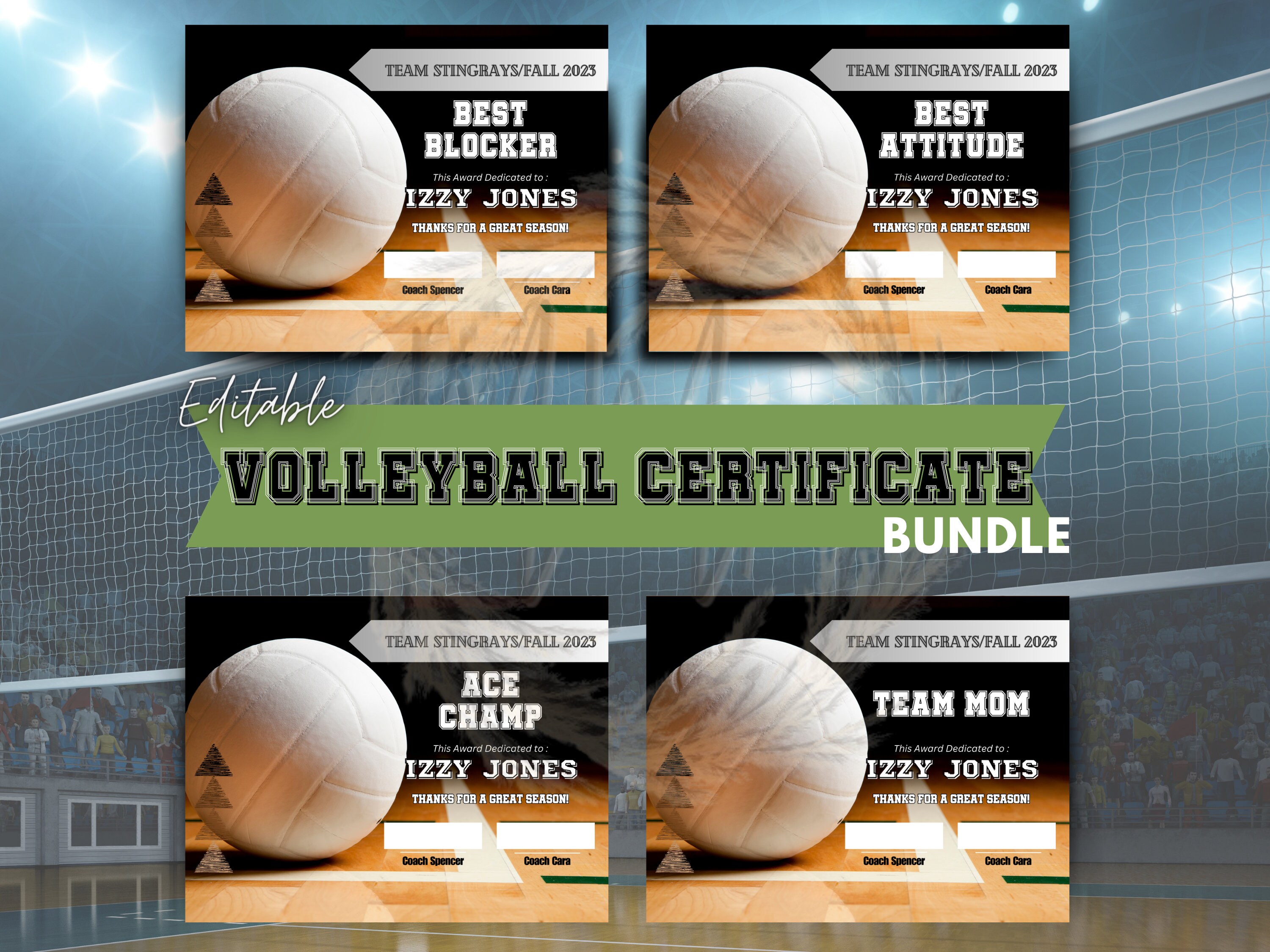 Editable Volleyball Award Certificates, Award Ceremony Certificates ...