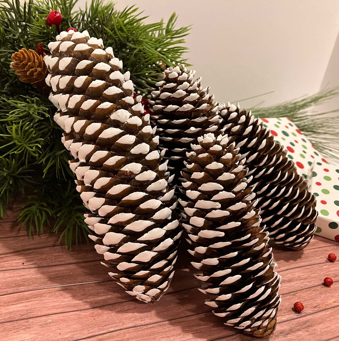 Painted Pinecones Trendy White Pinecones Shelf Decor Rustic - Etsy