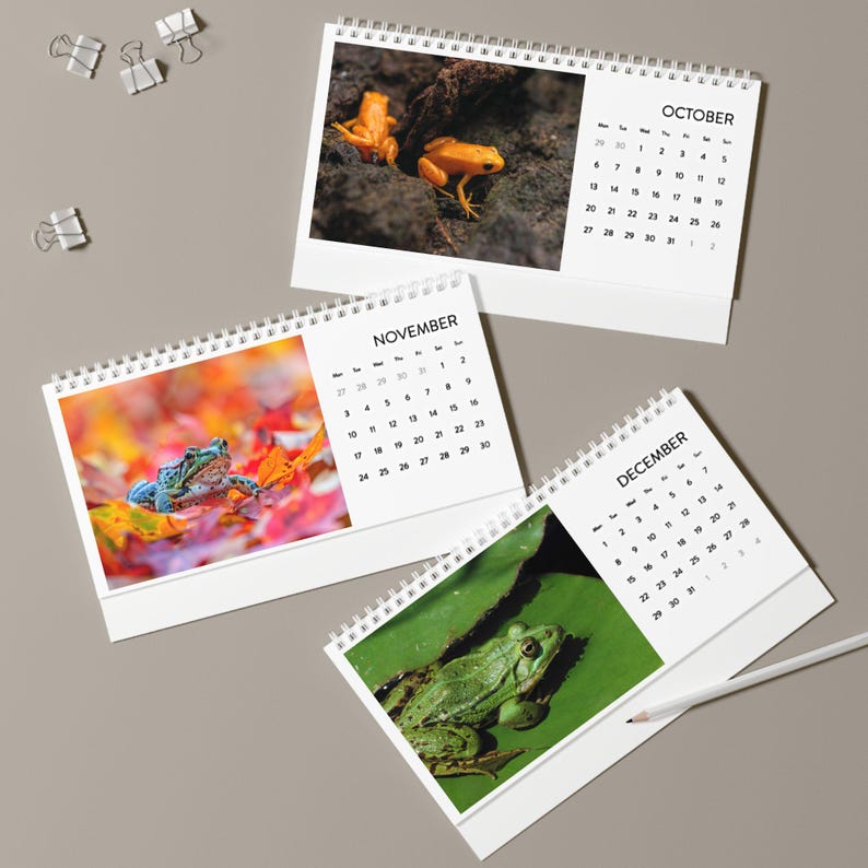 Frog Desk Calendar 2025 - Flip Kitchen Animal Nature Yearly Calendar - Etsy