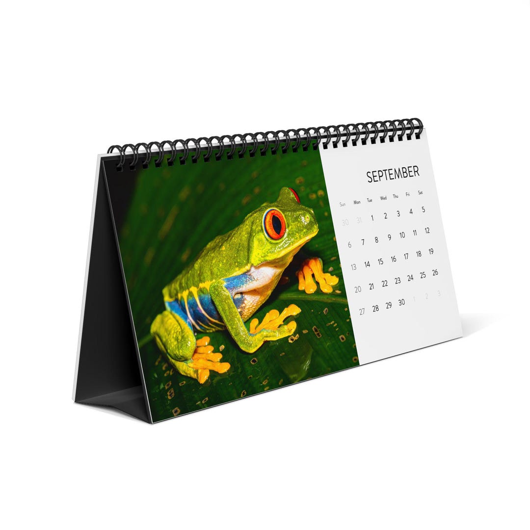 Frog Friends 2026 Desk Calendar - Cute Monthly Planner Office Decor ...