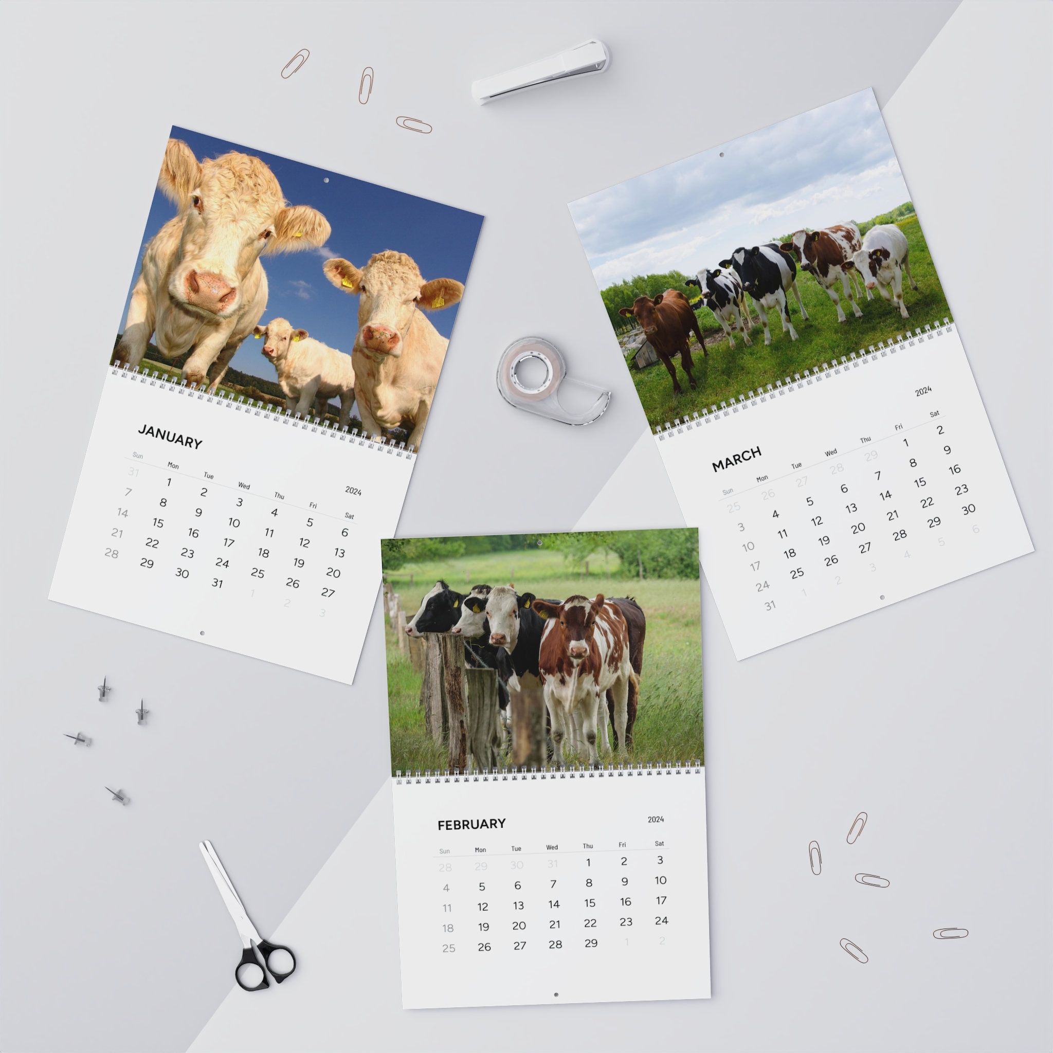 Cow Calendar, Wall Calendar 2024, Kitchen Calendar, Farmhouse Calendar ...