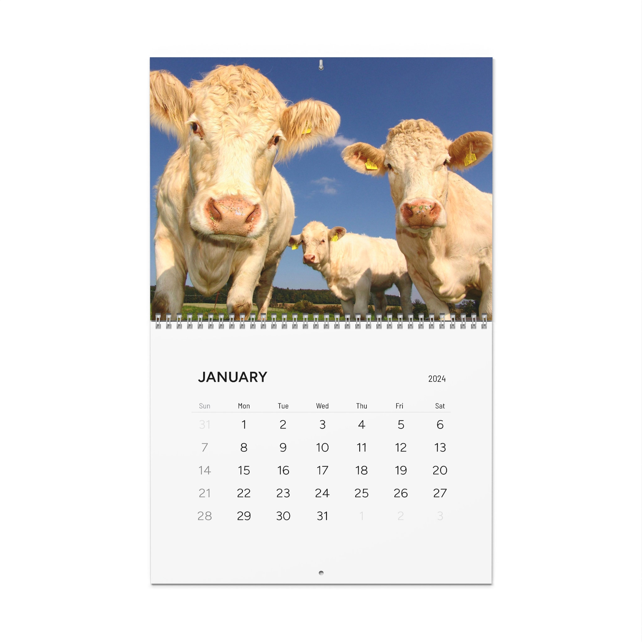 Cow Calendar, Wall Calendar 2024, Kitchen Calendar, Farmhouse Calendar ...