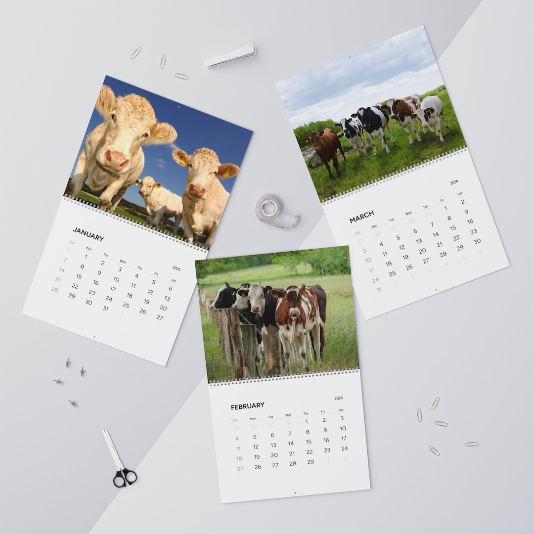 Cow Calendar, Wall Calendar 2024, Kitchen Calendar, Farmhouse Calendar ...