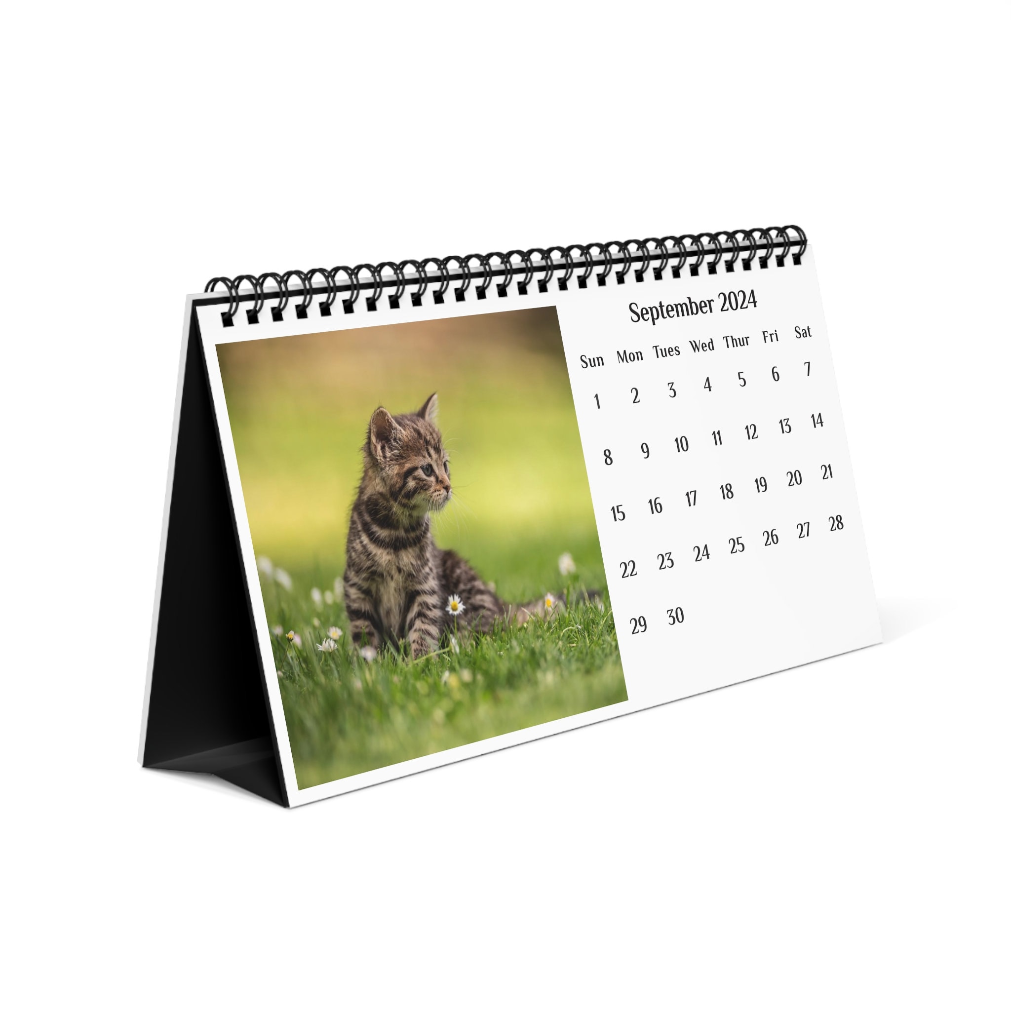 Kitten Calendar Flip Calendar Kitchen Calendar Cat Calendar Desk ...