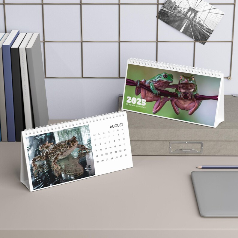 Frog Desk Calendar 2025 - Flip Kitchen Animal Nature Yearly Calendar - Etsy