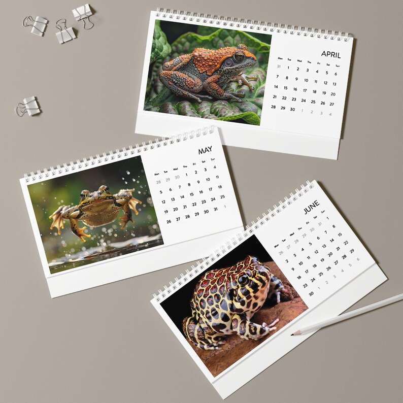 Frog Desk Calendar 2025 - Flip Kitchen Animal Nature Yearly Calendar - Etsy