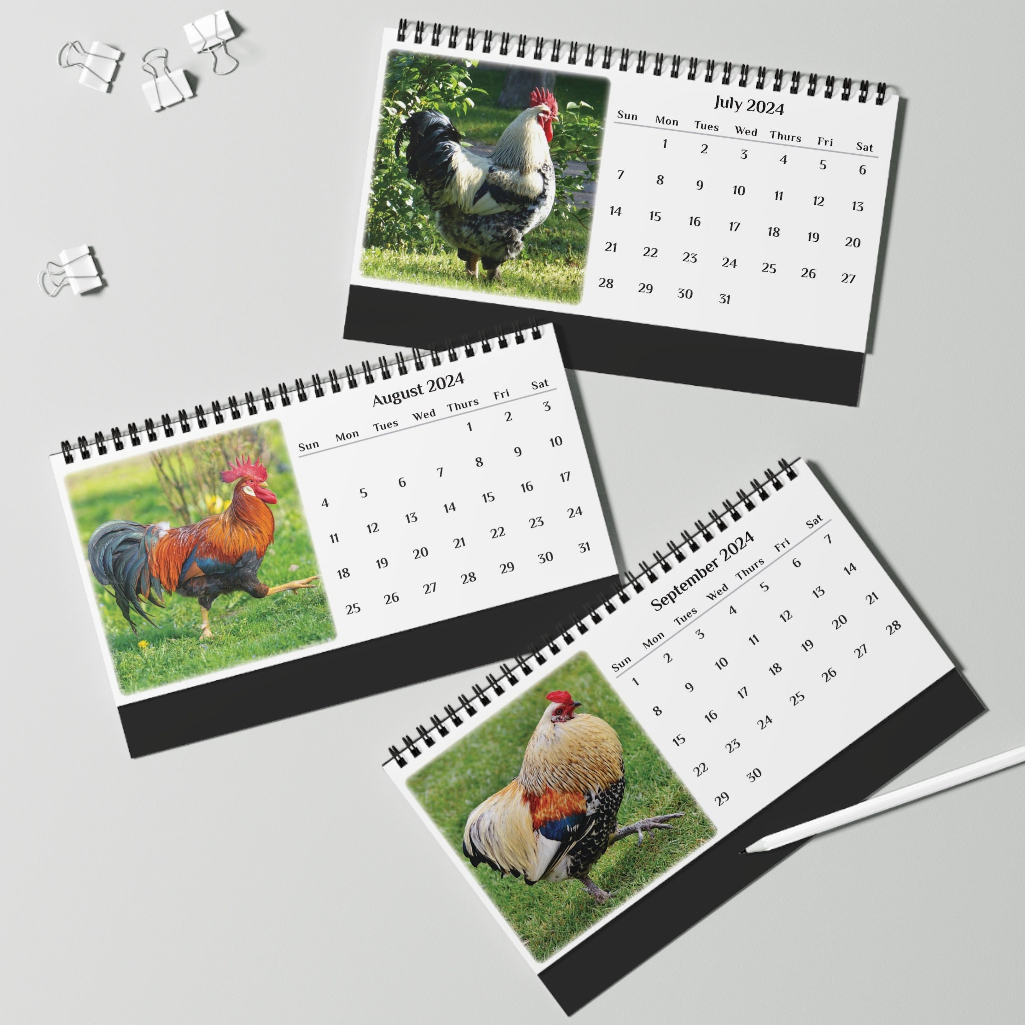 Chicken 2024 Desk Calendar sold by Adriaens Baton | SKU 4596747 ...