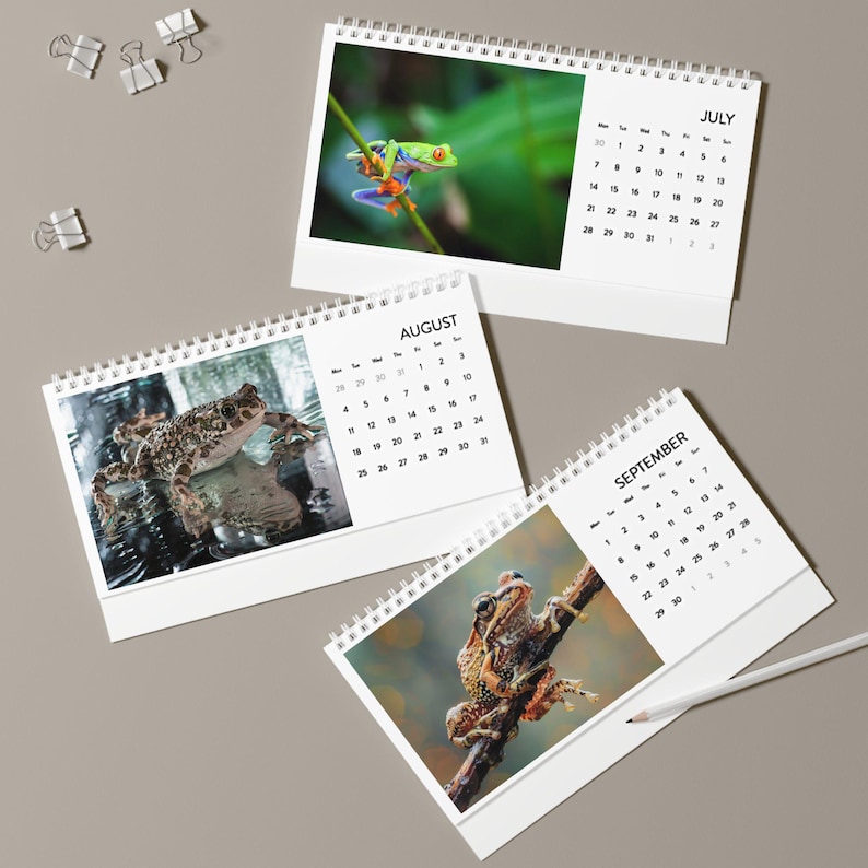 Frog Desk Calendar 2025 - Flip Kitchen Animal Nature Yearly Calendar - Etsy