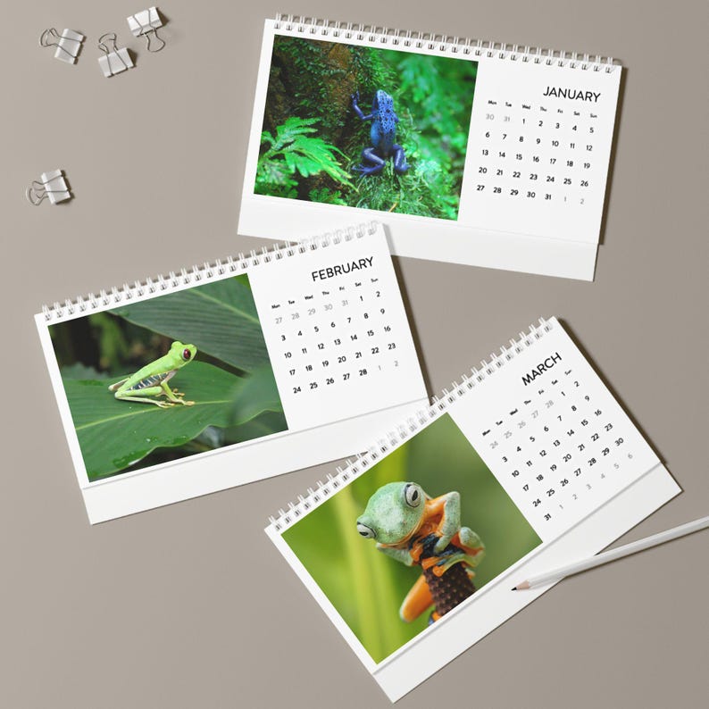 Frog Desk Calendar 2025 - Flip Kitchen Animal Nature Yearly Calendar - Etsy