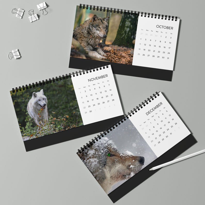 Wolf 2026 Flip Calendar: Wild Animals - Etsy