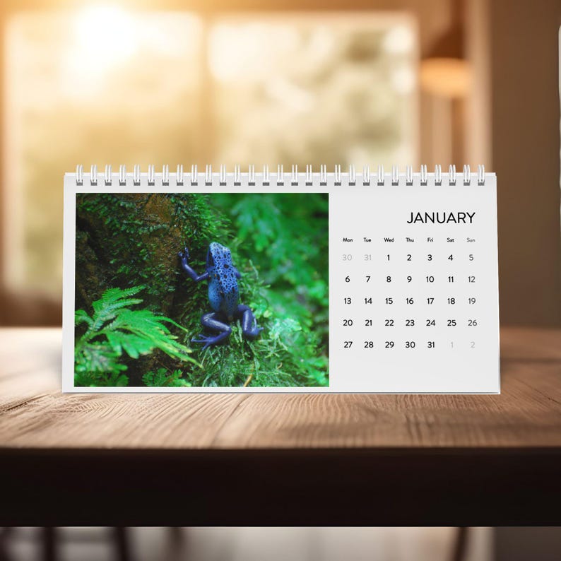 Frog Desk Calendar 2025 - Flip Kitchen Animal Nature Yearly Calendar - Etsy