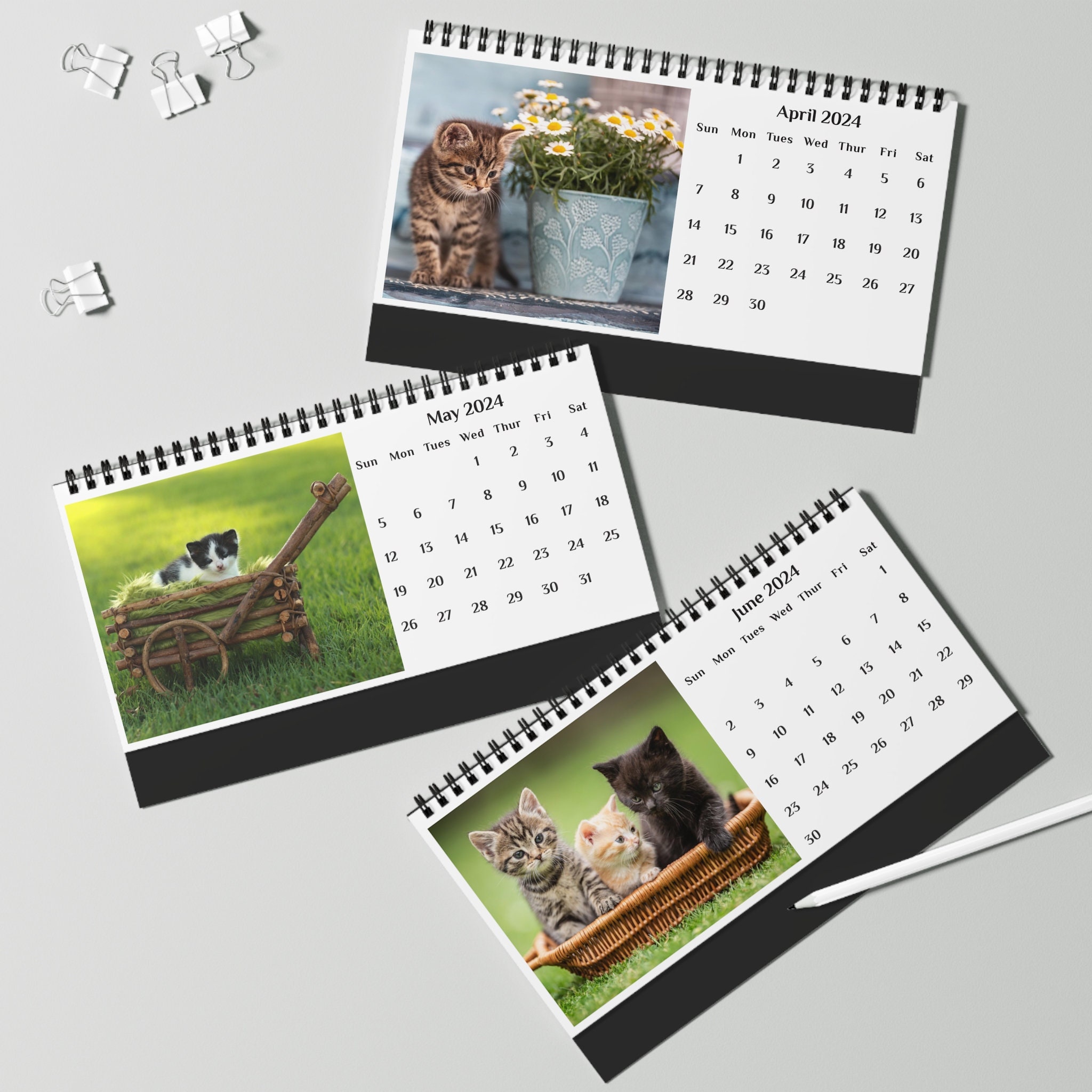 Kitten Calendar Flip Calendar Kitchen Calendar Cat Calendar Desk ...