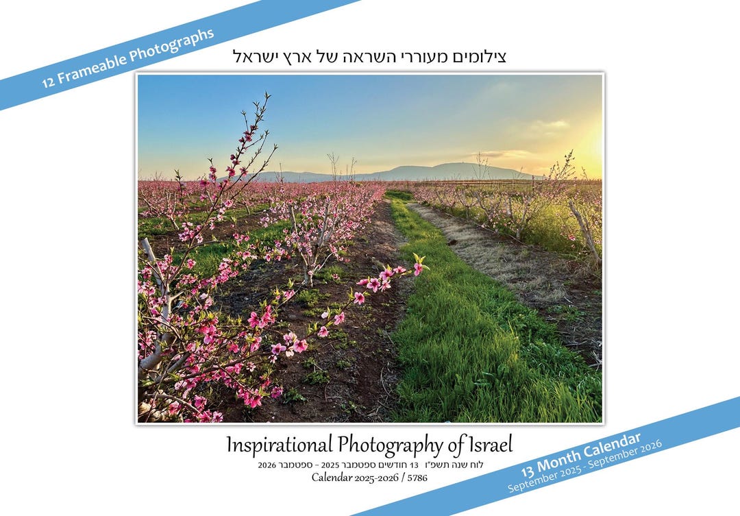 Jewish Calendar 2025-2026 (5786) 13 Month Wall Calendar~ Sept 2025-sept ...