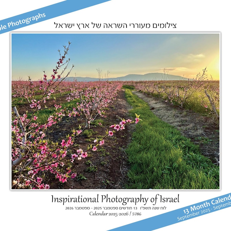 Walls of Israel - Etsy