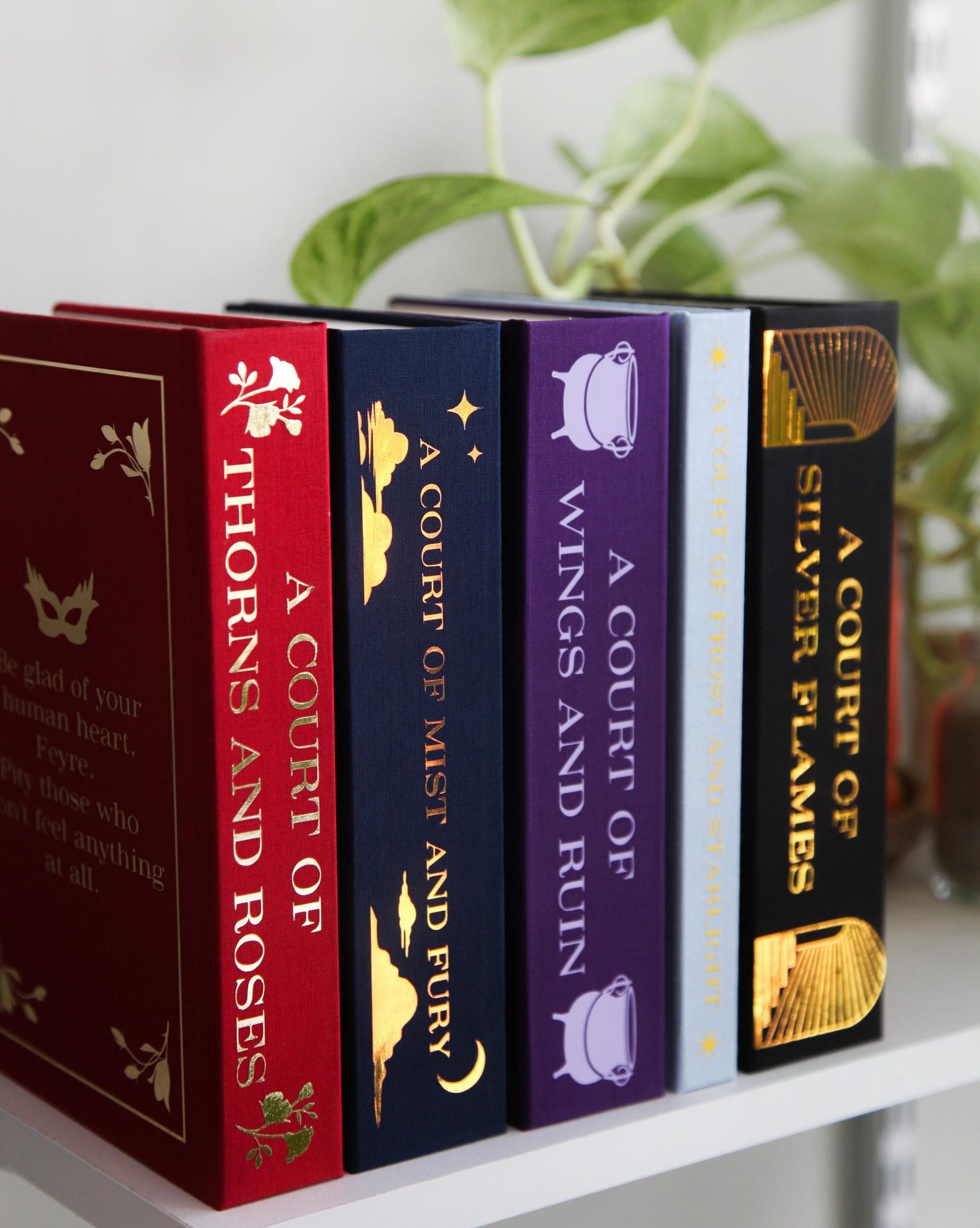 A Court of Mist and Fury Special Edition, ACOMAF Rebind, Handcrafted ...