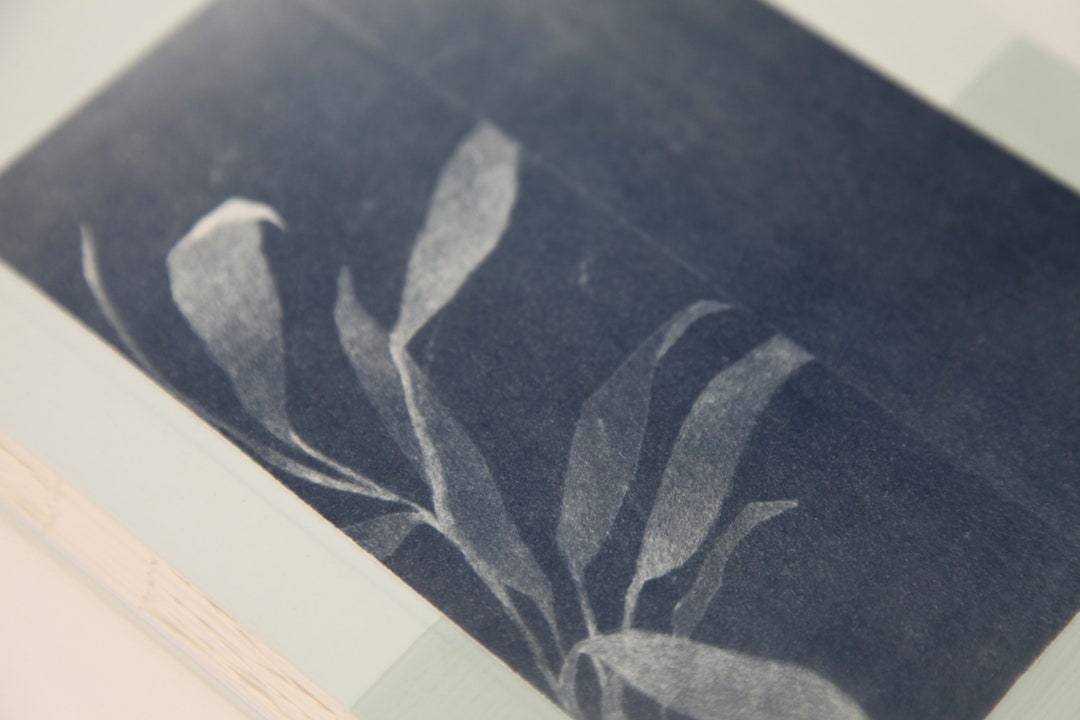 Handmade Journal, Nature Cyanotype Print, Drawing Sketchbook - Etsy