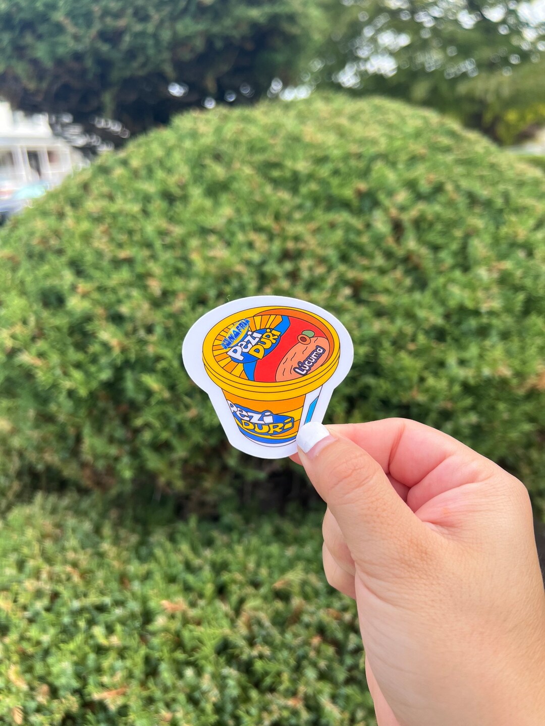 Lucuma Pezi Duri Sticker - Etsy