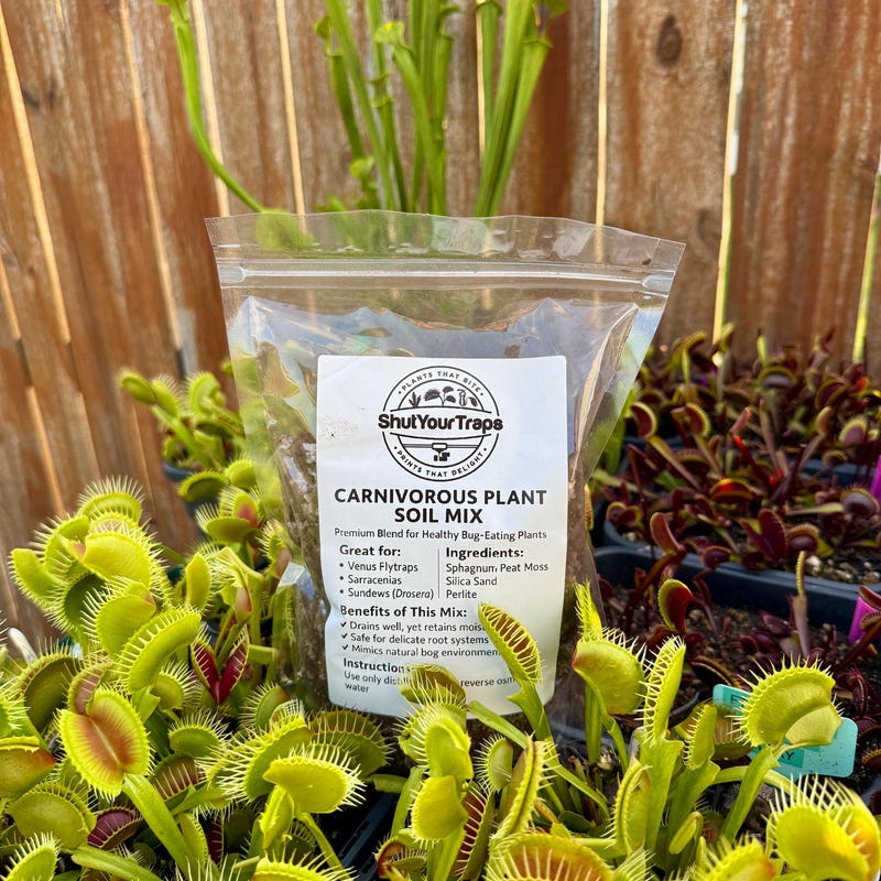 Carnivorous Plants Crafts - Etsy